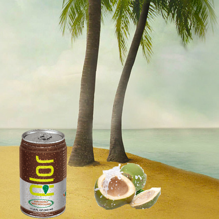 Vink & Beri LLC | ALOR Coconut Water with Coconut Chunks